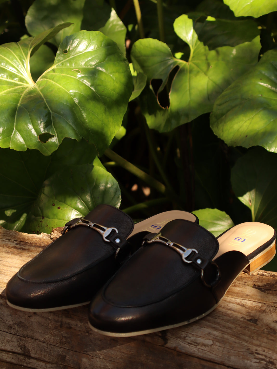 Siredi Shoes